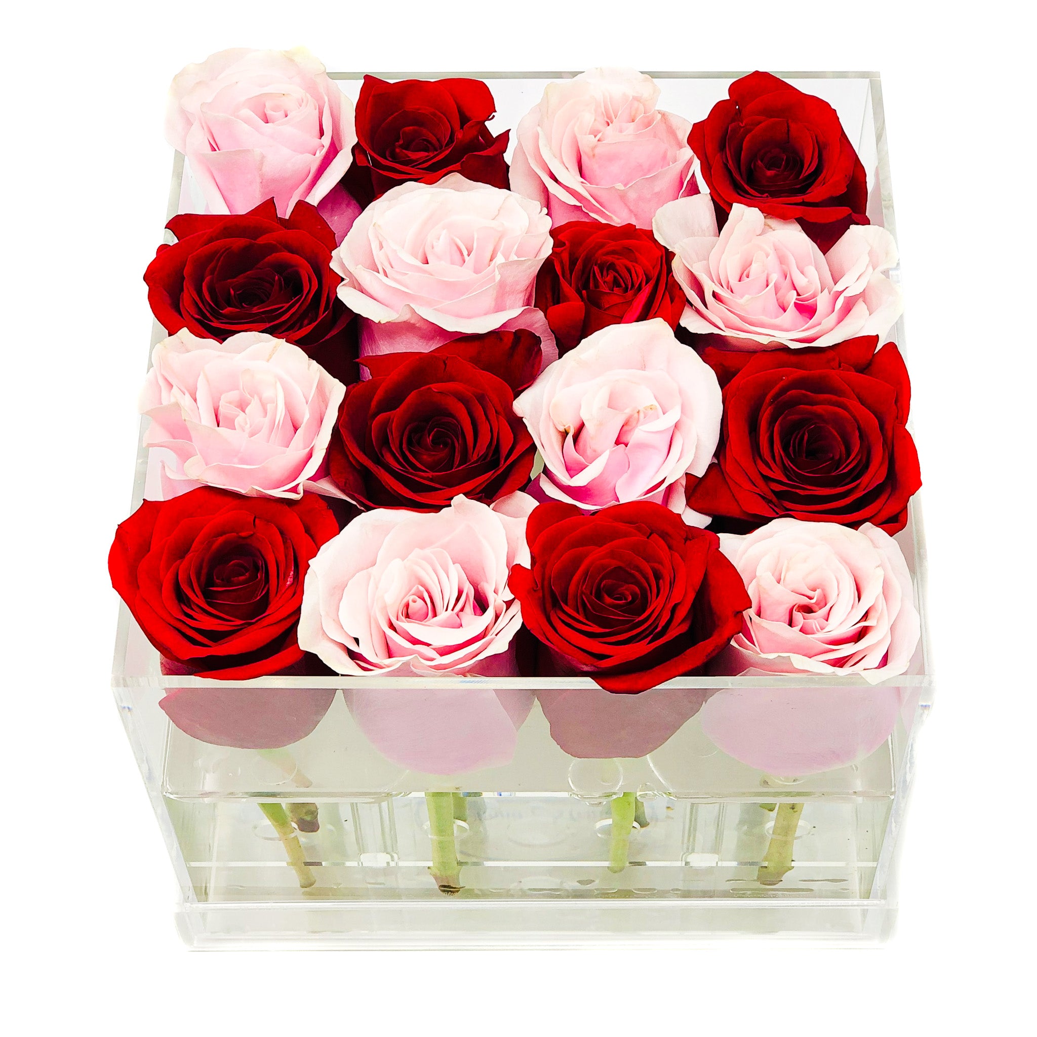 Fresh Rose Arrangements delivered in Miami & Florida - Ohana Moments